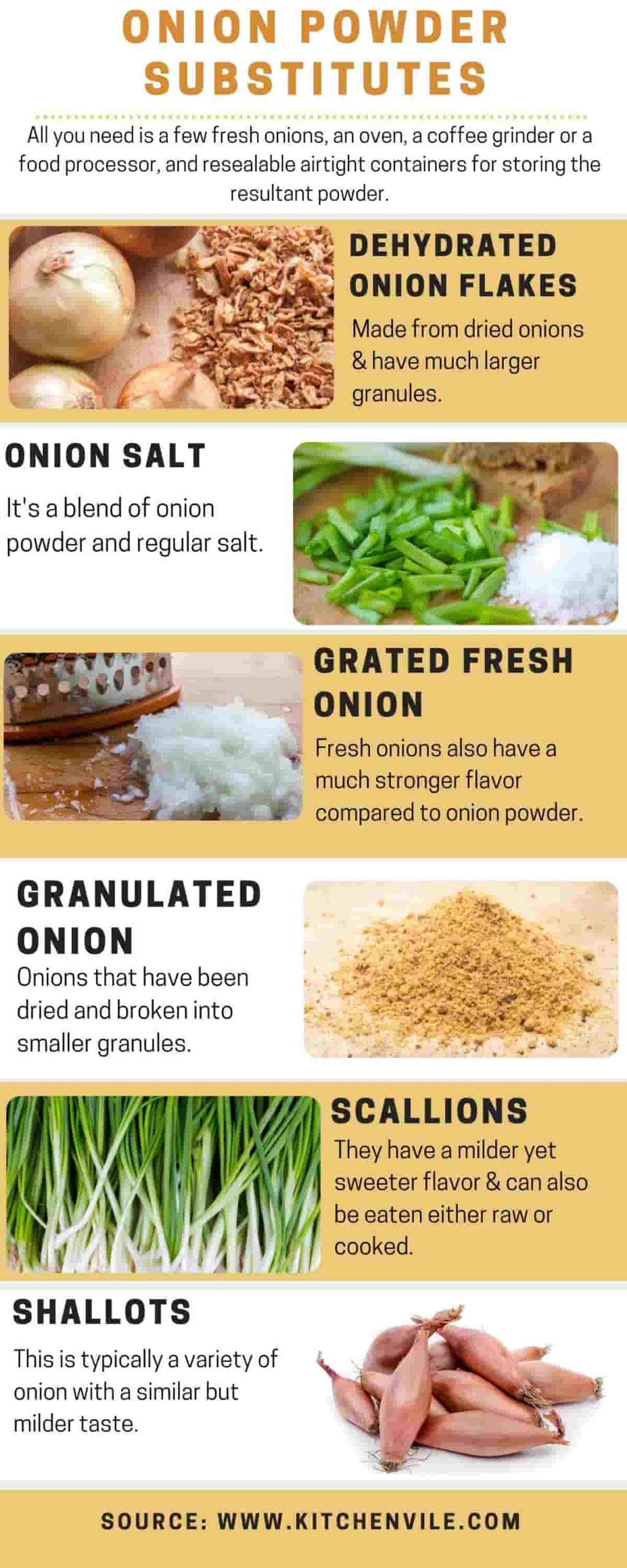 Onion Powder Substitutes - KitchenVile