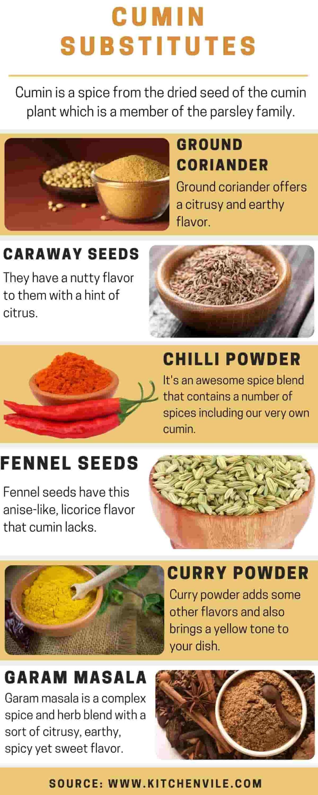 Cumin Substitutes - KitchenVile