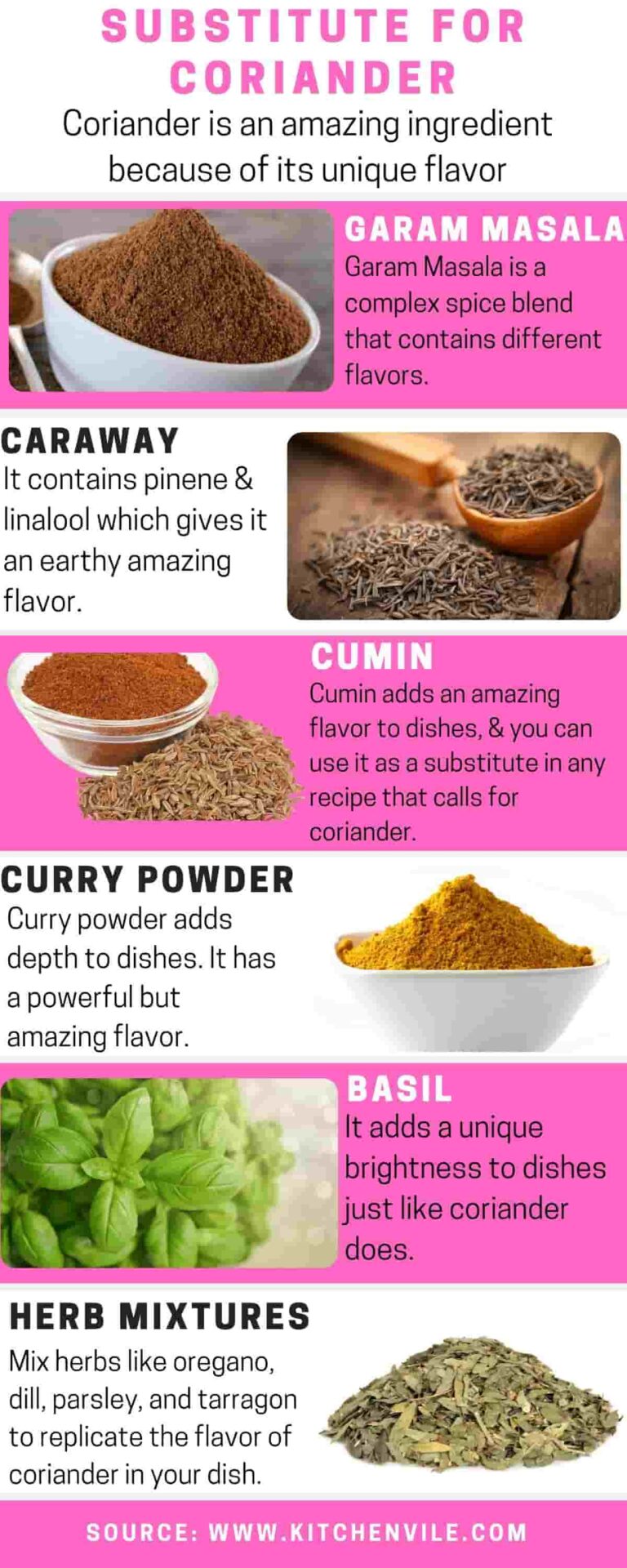 Substitutes for Coriander - KitchenVile