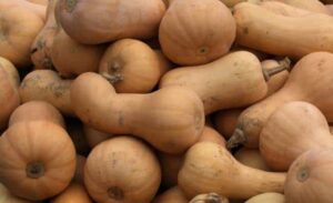 Why Does My Butternut Squash Have White Spots? - KitchenVile