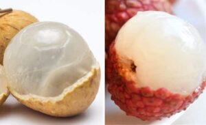 Longan vs Lychee- 11 Interesting Similarities and Difference - KitchenVile